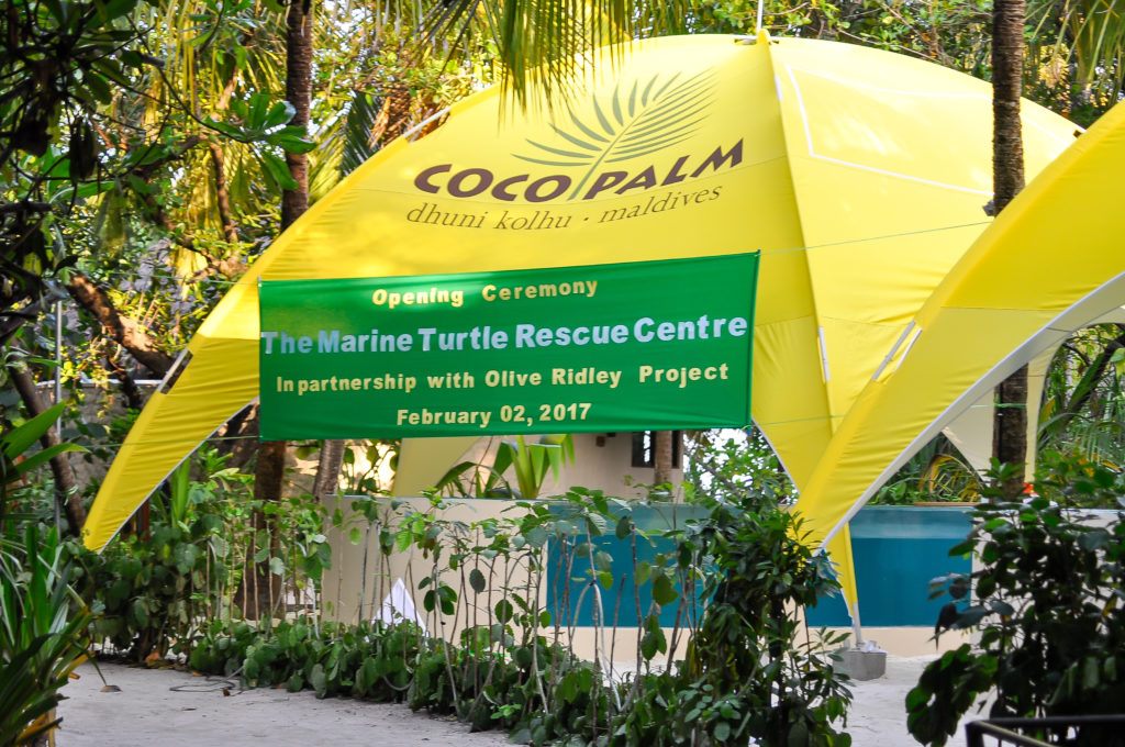 Coco Collection opens Maldives’ first Turtle Rescue Centre in ...