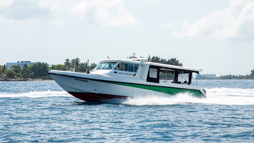 Hawks to Resume Private Speedboat Hire Services | Corporate Maldives