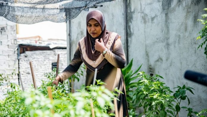 The Opportunities in Maldives for Agricultural Development | Corporate ...
