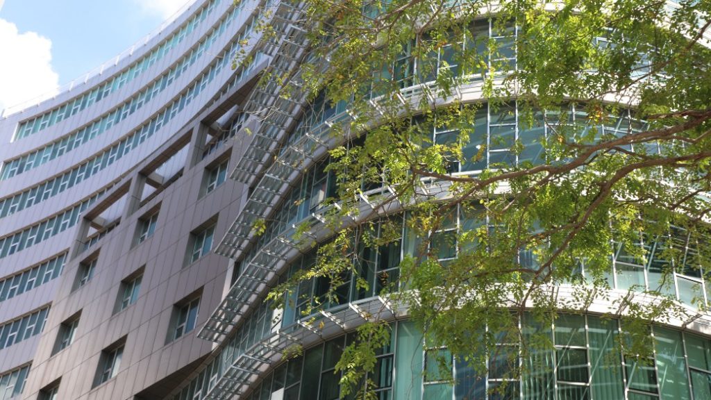 Maldives Digital Services Confirms March Launch of GEMS 2.0 | Corporate ...